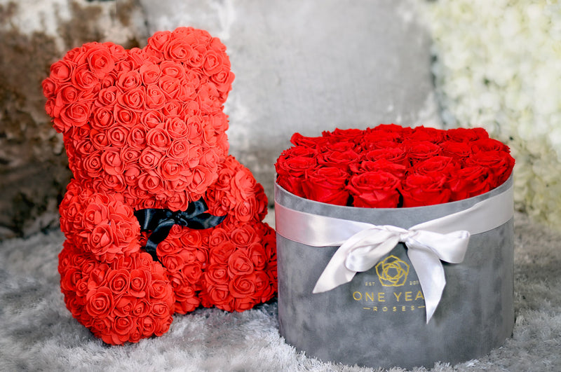Rose Teddy bear with love heart in gift box for next day delivery UK One Year Roses